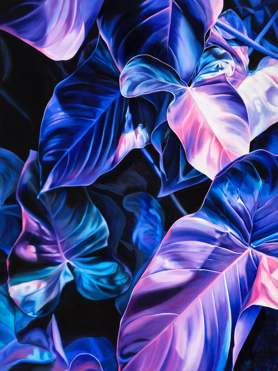 Feature Artist: Amber Ozols