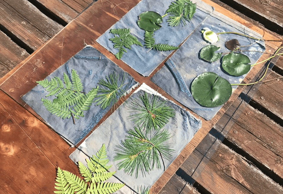 Experimenting with Cyanotype