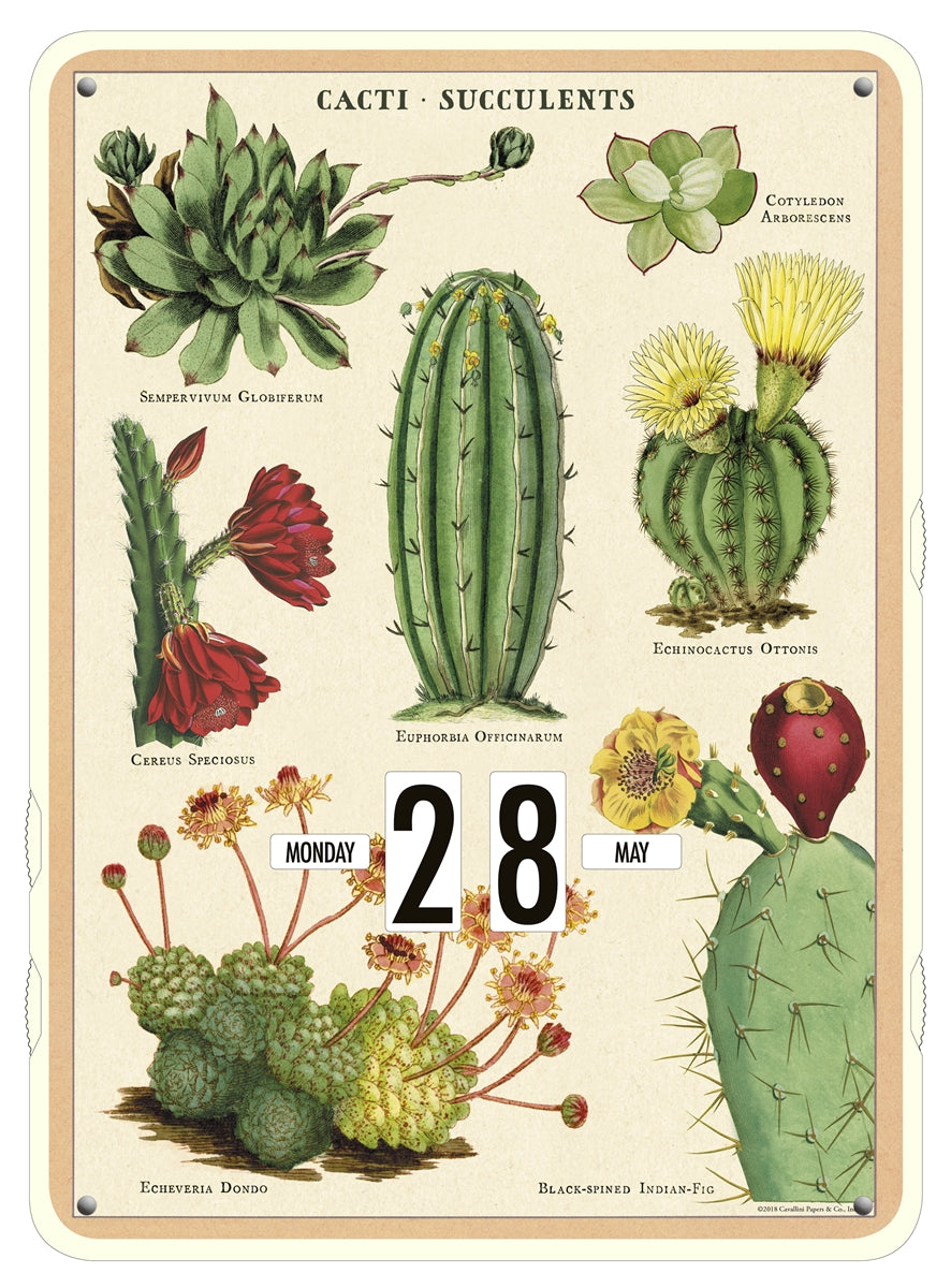 Cavallini Perpetual Calendar